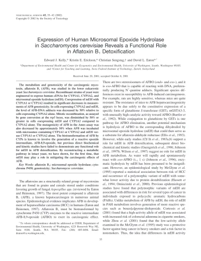 Expression of Human Microsomal Epoxide Hydrolase in Saccharomyces ...