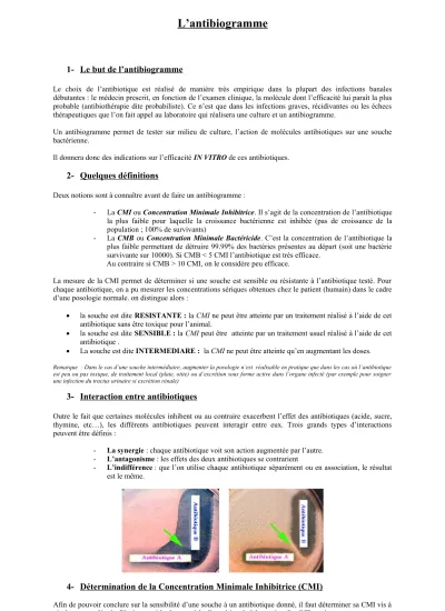 Td corrigé L'antibiogramme pdf