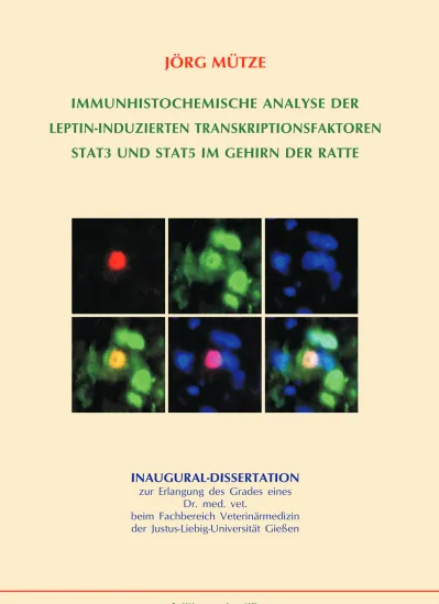 Neuroanatomischer Nachweis der Leptin-induzierten nukleären STAT5 ...