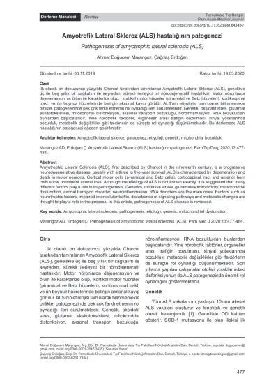 Amyotrofik Lateral Skleroz (ALS) hastalığının patogenezi